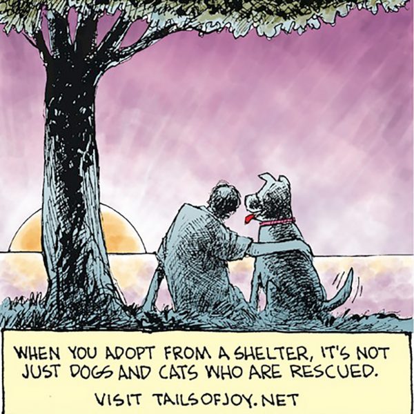Wiley Miller's Non Sequitur Comic Strip - Elayne Boosler's Tails of Joy